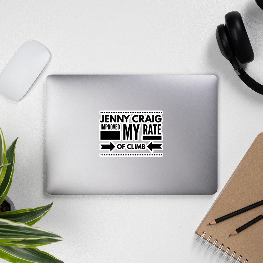 Funny Aviation Pilot Sticker Bubble-free Stickers, Flying Stickers ...