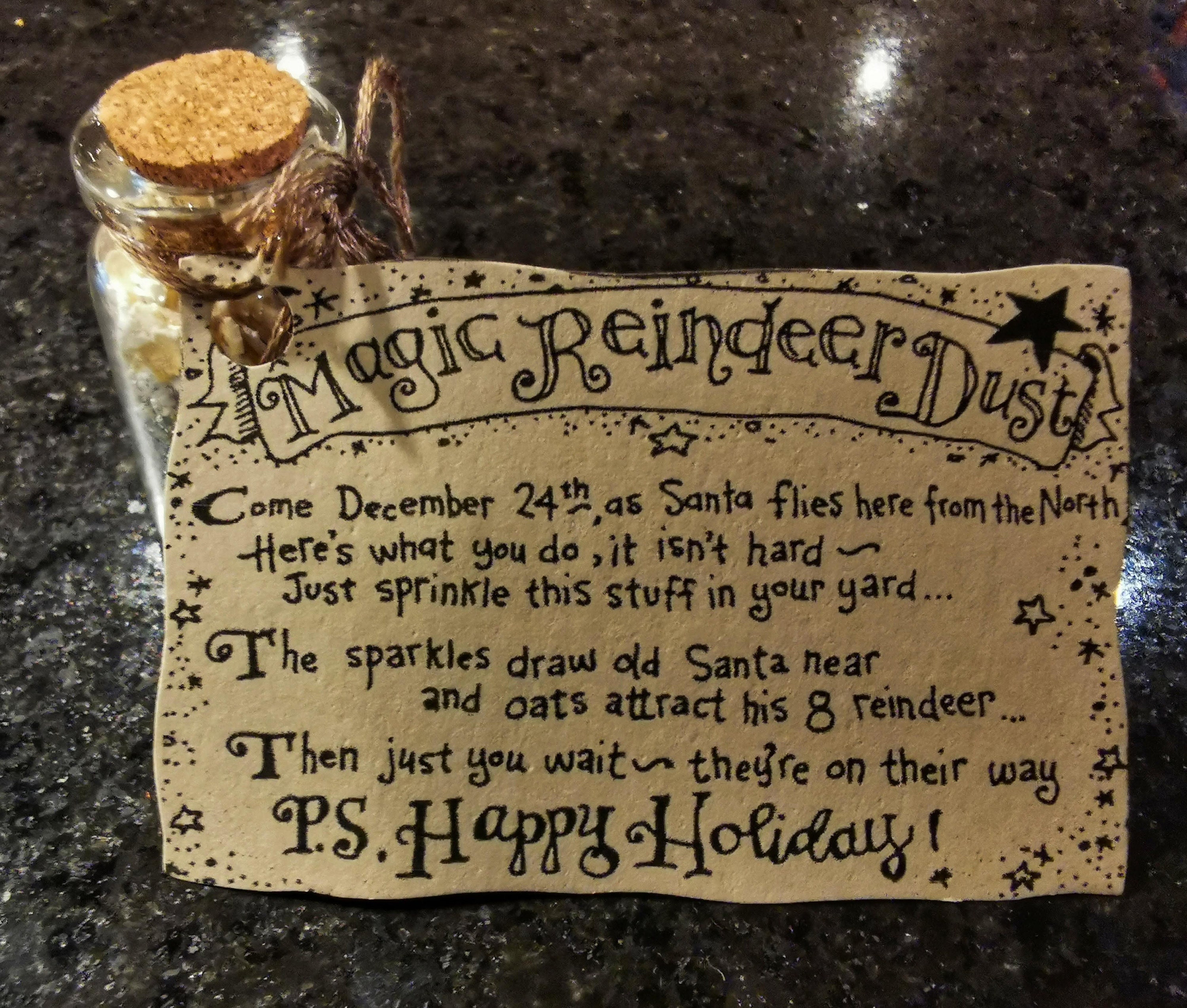 Magic Reindeer Dust - Etsy Canada