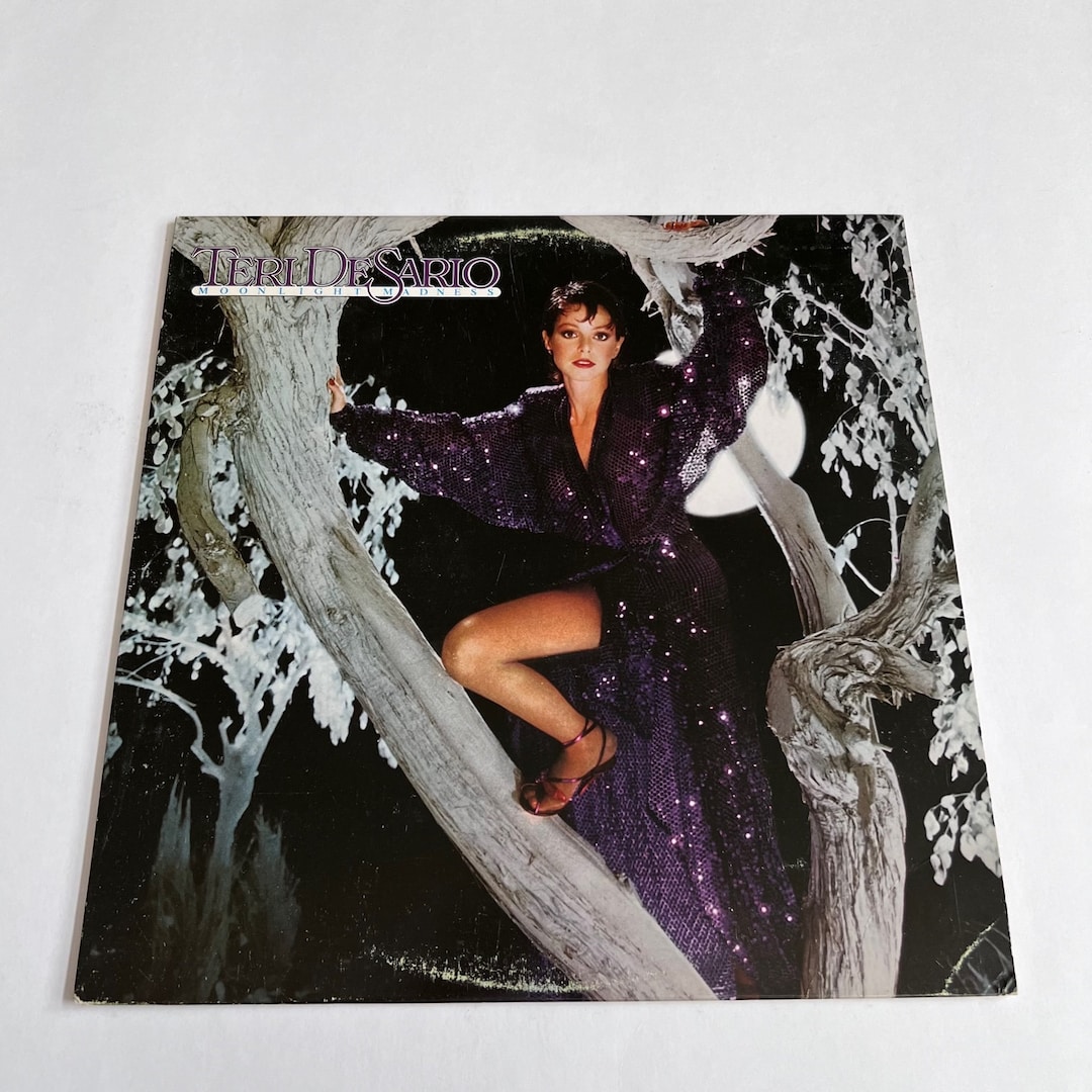 Teri Desario - Moonlight Madness (1979) - Etsy