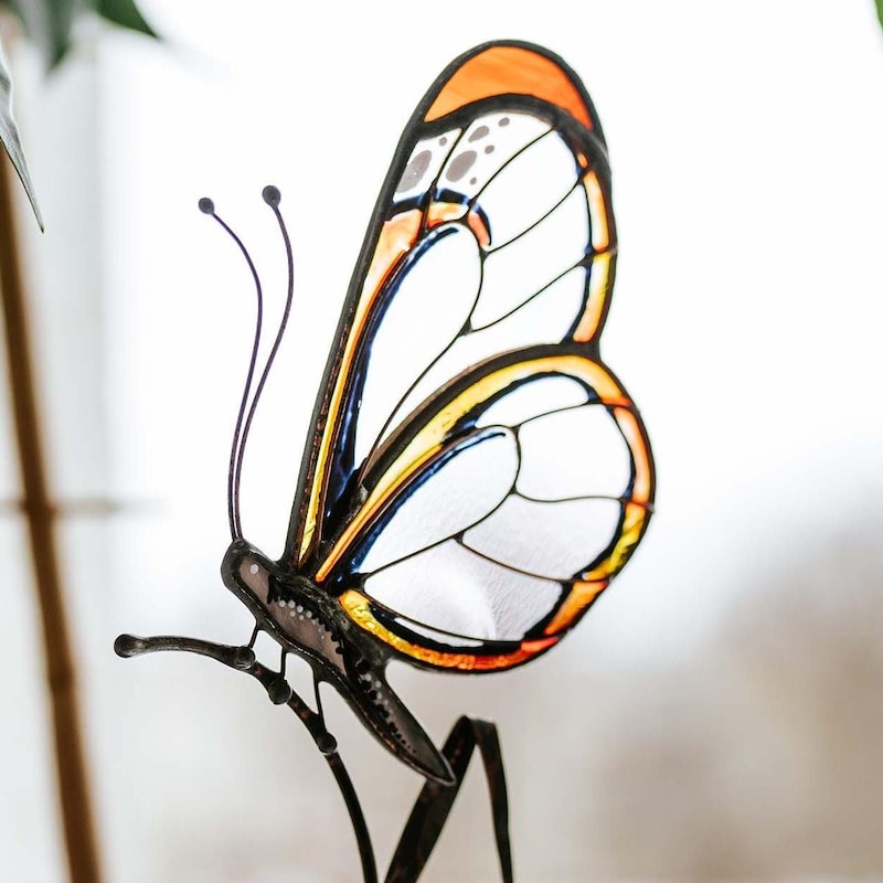Butterfly Wing Plant - Etsy