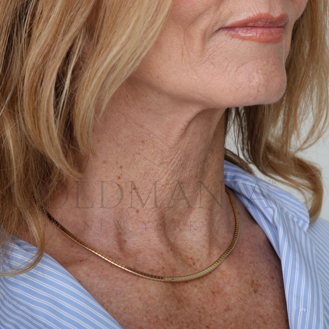 14K Gold Omega Link Chain Necklace, Block Omega Necklace , Segmented ...