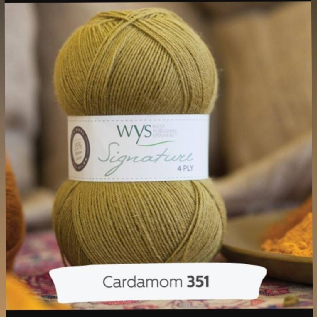 WYS Signature 4 Ply Sock Yarn 75% Wool Cardamon, Green Sock Wool , Sock ...
