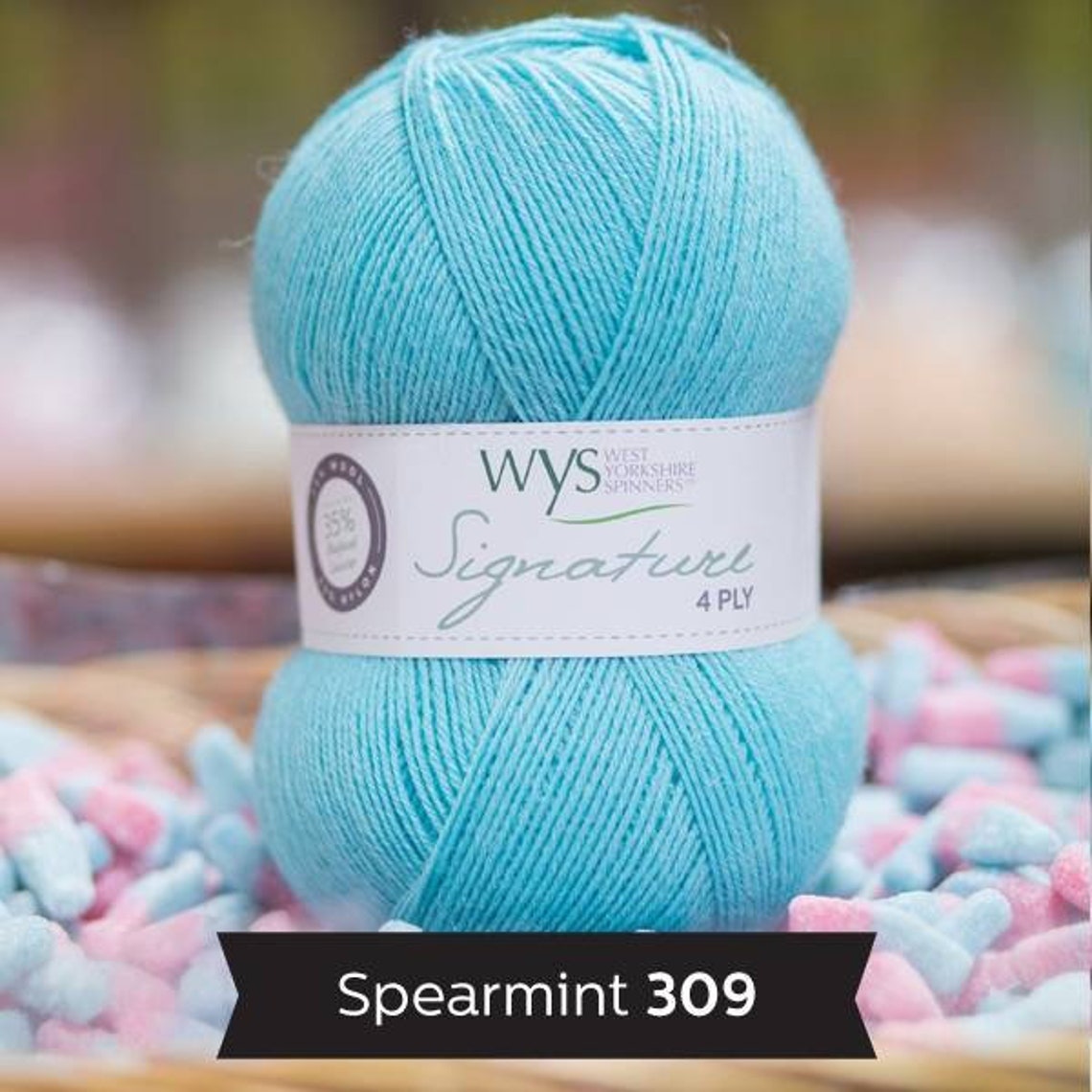 WYS Signature 4 Ply Sock Knitters Knitting 75% Wool Spearmint - Etsy