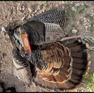 Tom Oar AKA Mountain Man Wild Turkey Box Call AUTOGRAPHED by Tom - Etsy