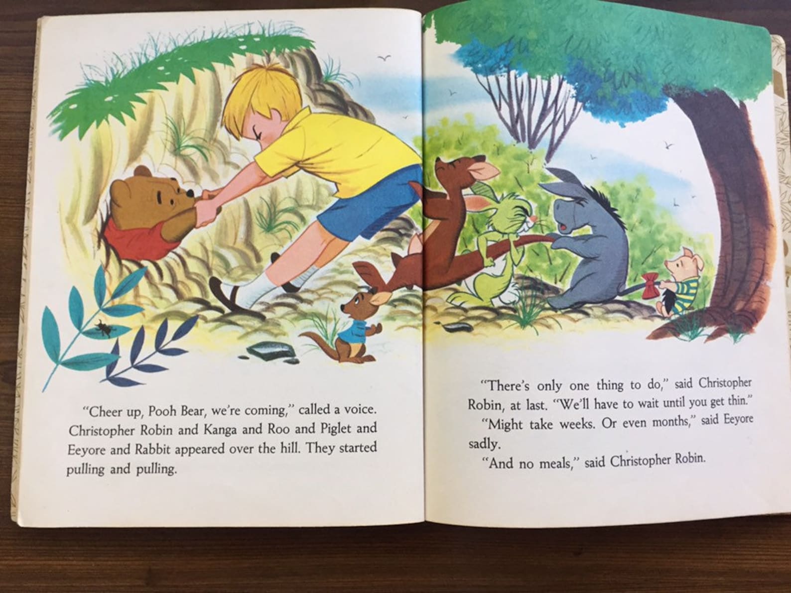 Walt Disney Presents Winnie-the-pooh Meets Gopher Vintage Little Golden ...