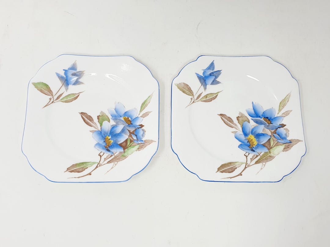 Art Deco Shelley Syringa Pair of Side Plates - Rare 1930s Pottery - Etsy UK