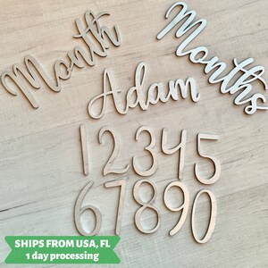 Monthly Photo Props, Personalized Baby Milestone Marker, Baby Monthly ...