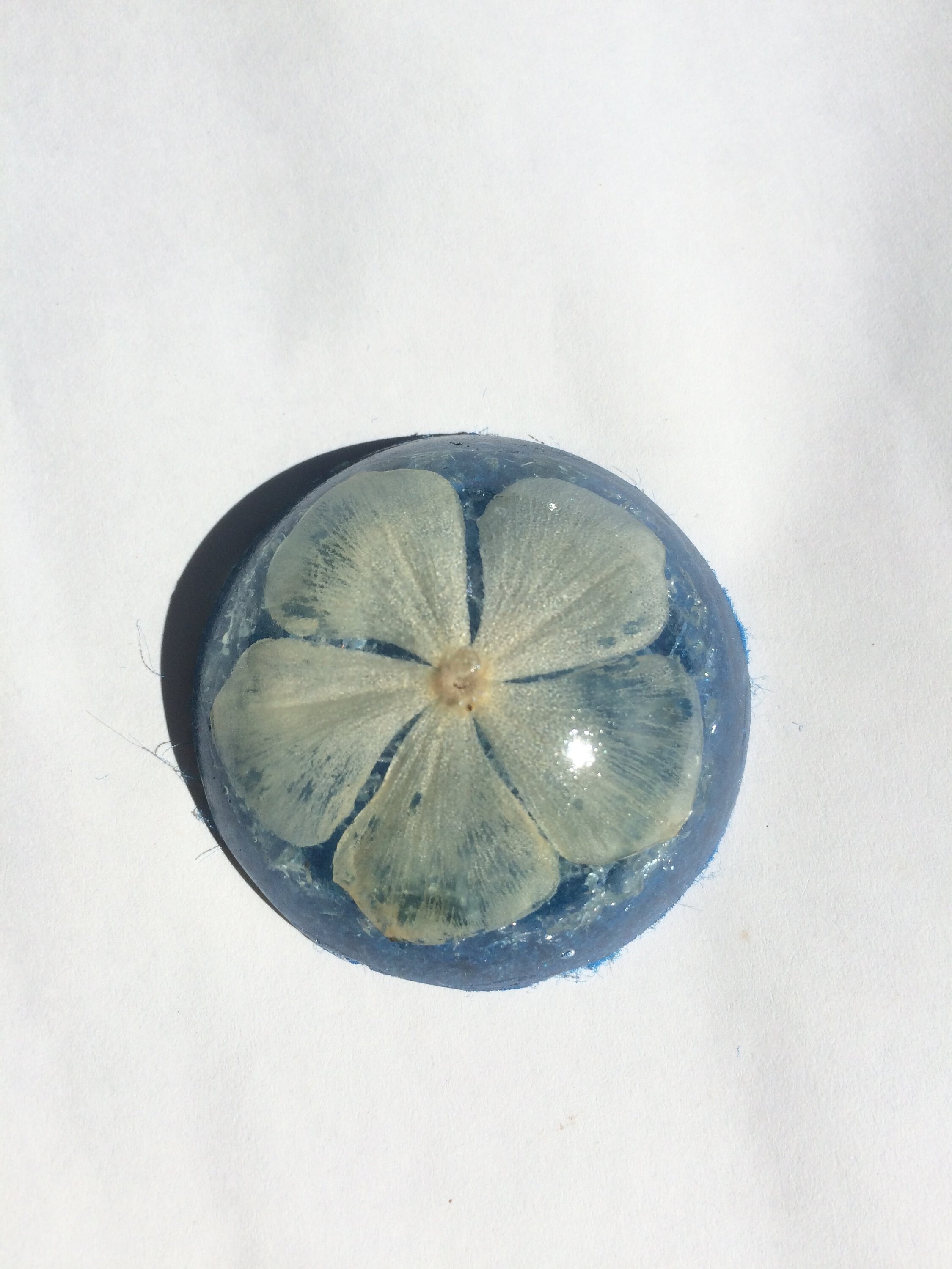 White Flower Encased in Resin Paperweight or Fridge Magnet - Etsy Denmark