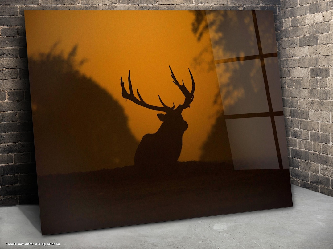 Deer Glass Art, Forest Wall Decor, Tempered Glass Art, Glass Printing ...