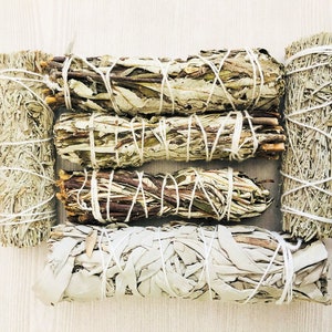 6-PACK SAGE Bundles Hand Fan Blue Sage White Sage Holy - Etsy