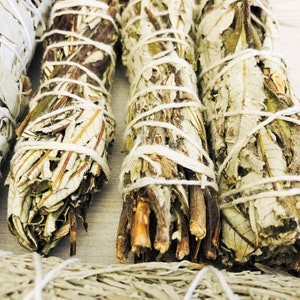 6-PACK SAGE Bundles Hand Fan Blue Sage White Sage Holy - Etsy