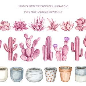 Watercolor Pink Cactus and Succulents Clipart. Potted Cactus PNG. Pink ...