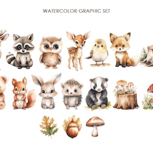 Watercolor Cute Woodland Animals Clipart. Forest Animals PNG. Woodland ...