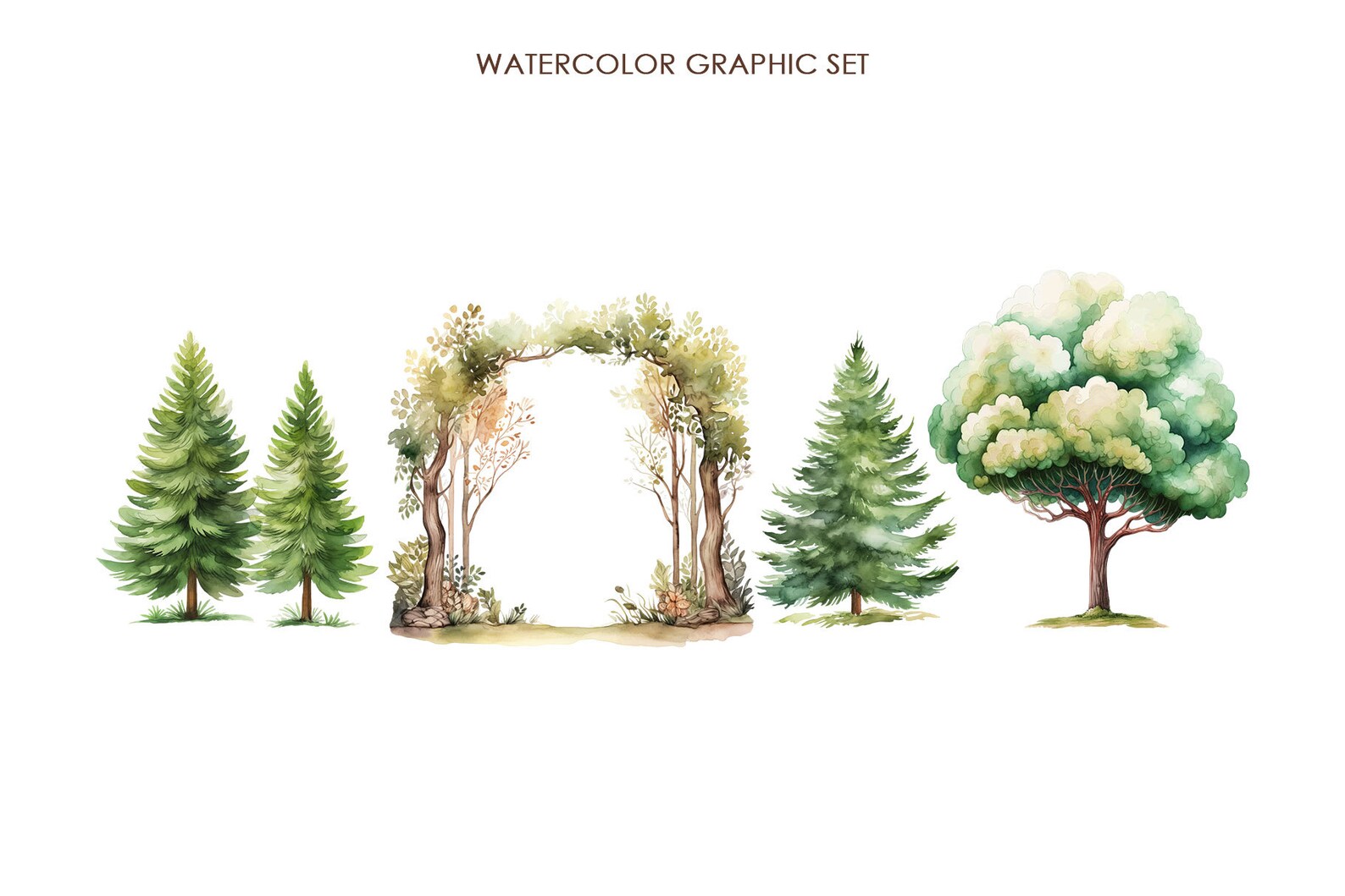 Watercolor Cute Woodland Animals Clipart. Forest Animals PNG. Woodland ...