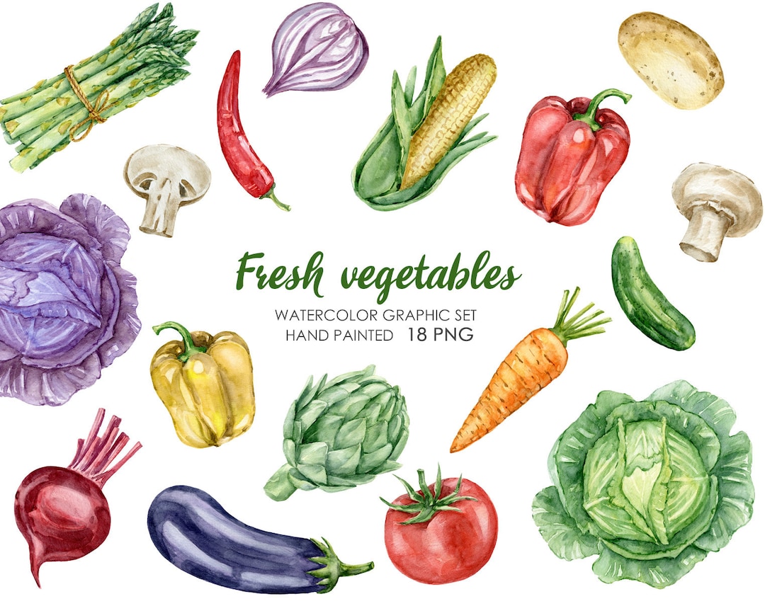 Watercolor Vegetables Clipart Set-vegetable Illustration-vegetables ...
