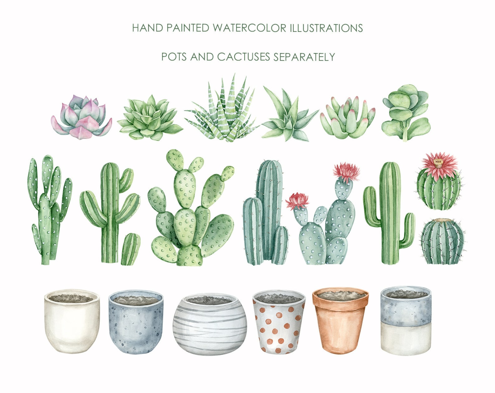 Watercolor Cactus and Succulents Clipart. Potted Cactus PNG. | Etsy