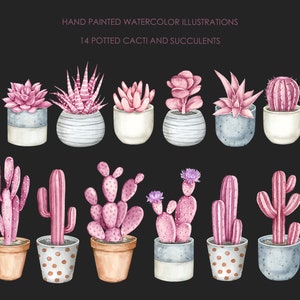 Watercolor Pink Cactus and Succulents Clipart. Potted Cactus PNG. Pink ...