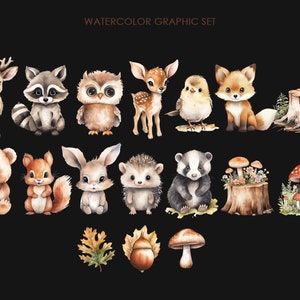 Watercolor Cute Woodland Animals Clipart. Forest Animals PNG. Woodland ...