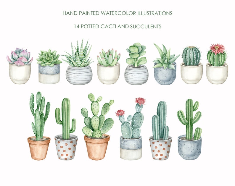 Watercolor Cactus and Succulents Clipart. Potted Cactus PNG. | Etsy