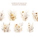 Watercolor Boho Wild Flowers Clipart. Neutral Dried Wild Florals ...