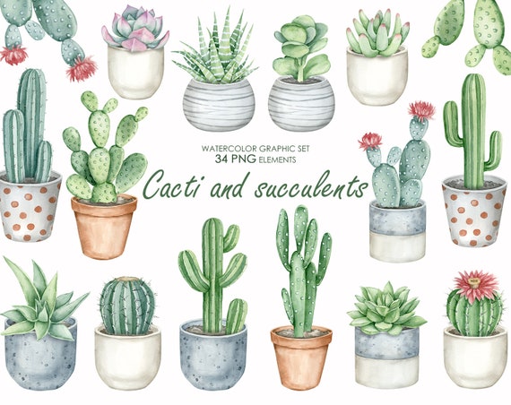 Watercolor Cactus and Succulents Clipart. Potted Cactus PNG. | Etsy