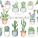 Watercolor Cactus and Succulents Clipart. Potted Cactus PNG. | Etsy