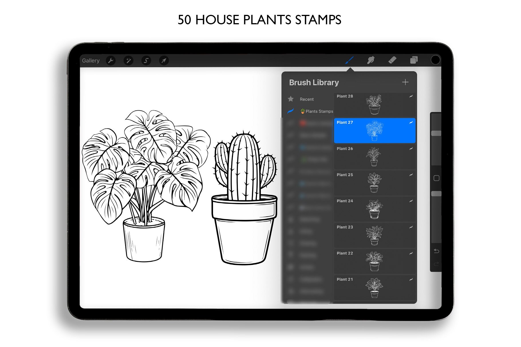Potted Plants Procreate Stamp Pack. House Plant Stamp. Procreate Plant ...