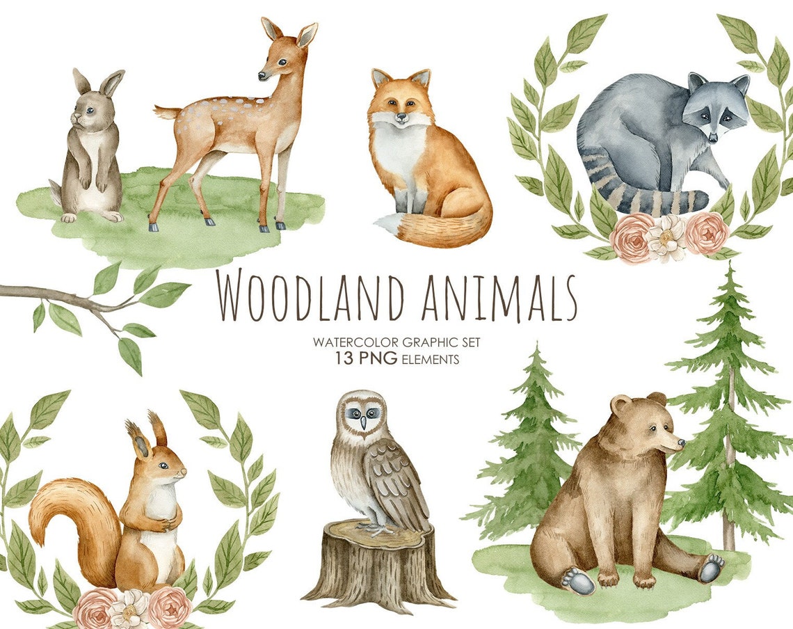 Watercolor Woodland Animals Clipart. Forest Clipart. Nursery - Etsy