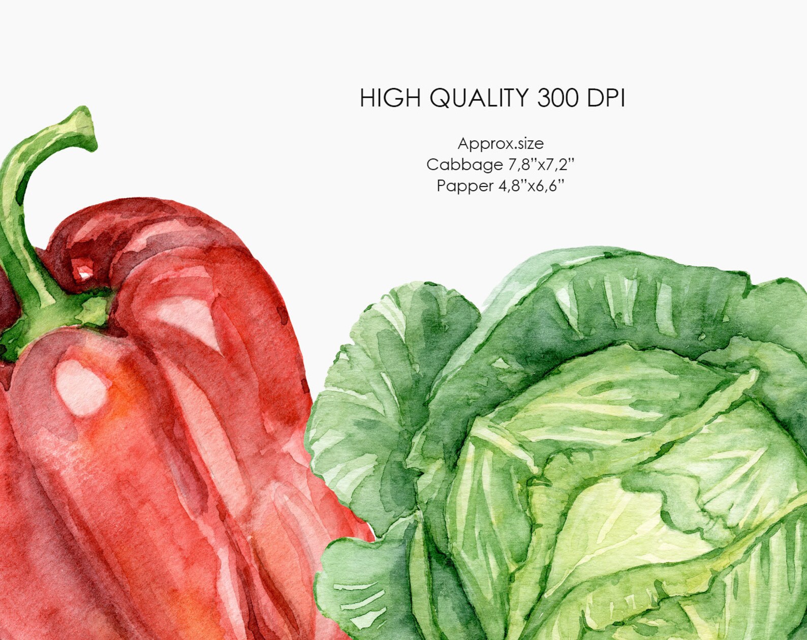 Watercolor Vegetables Clipart Set-vegetable - Etsy