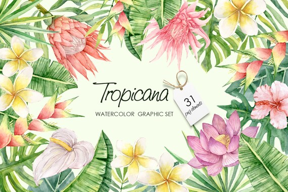 Watercolor Tropical Flowers Clipart. Exotic Flower Clipart. | Etsy