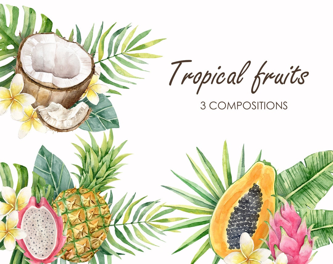 Watercolor Tropical Fruit Clipart. Summer Clipart. Fruits Compositions ...