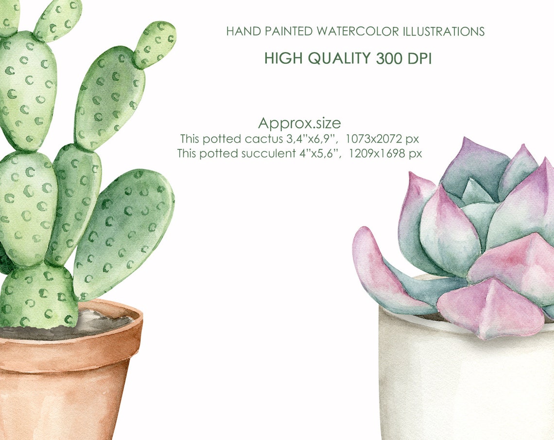 Watercolor Cactus and Succulents Clipart. Potted Cactus PNG. Cactus ...