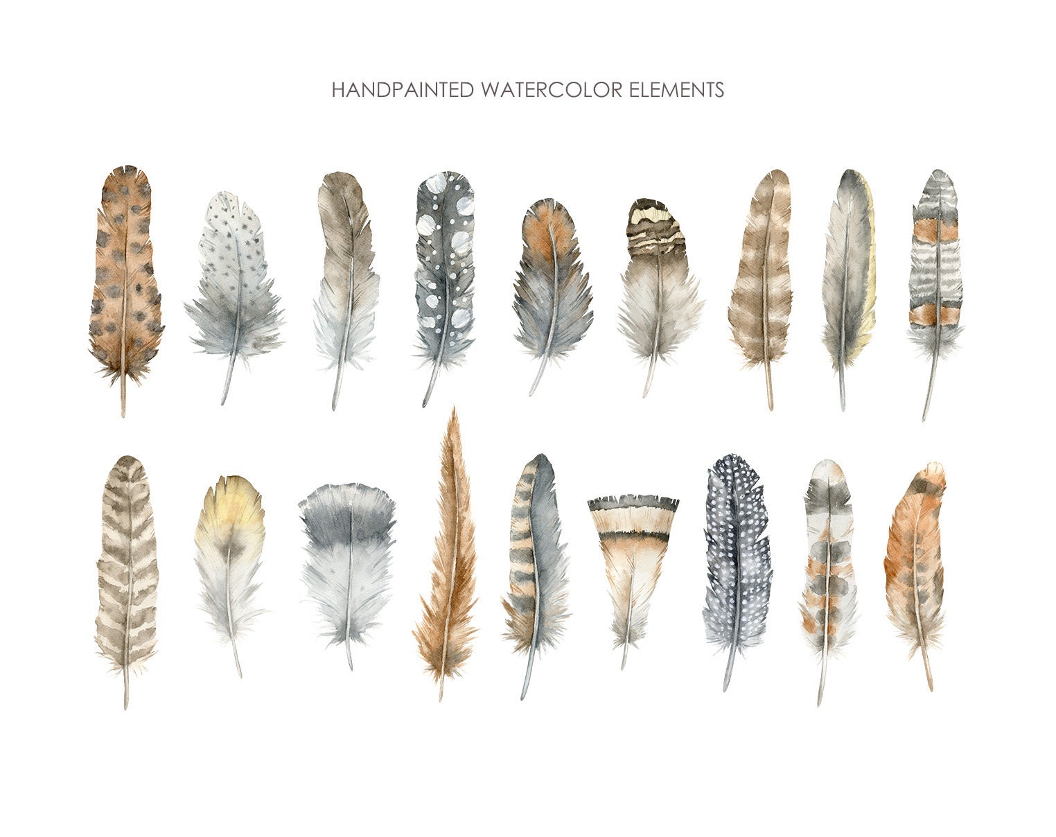 Watercolor Boho Feathers Clipart. Digital Feathers Clipart | Etsy