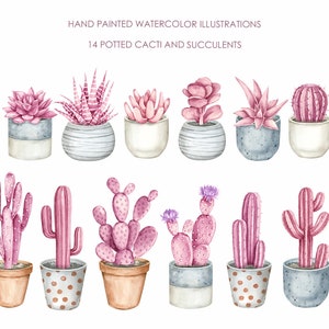 Watercolor Pink Cactus and Succulents Clipart. Potted Cactus PNG. Pink ...