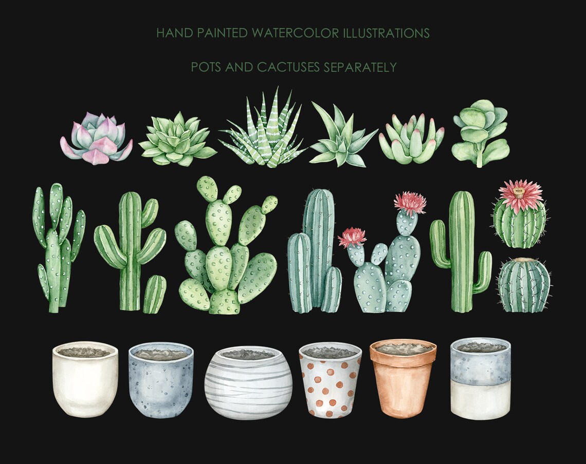 Watercolor Cactus and Succulents Clipart. Potted Cactus PNG. - Etsy