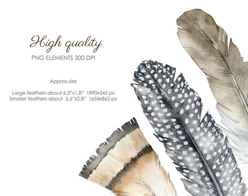 Watercolor Boho Feathers Clipart. Digital Feathers Clipart PNG ...