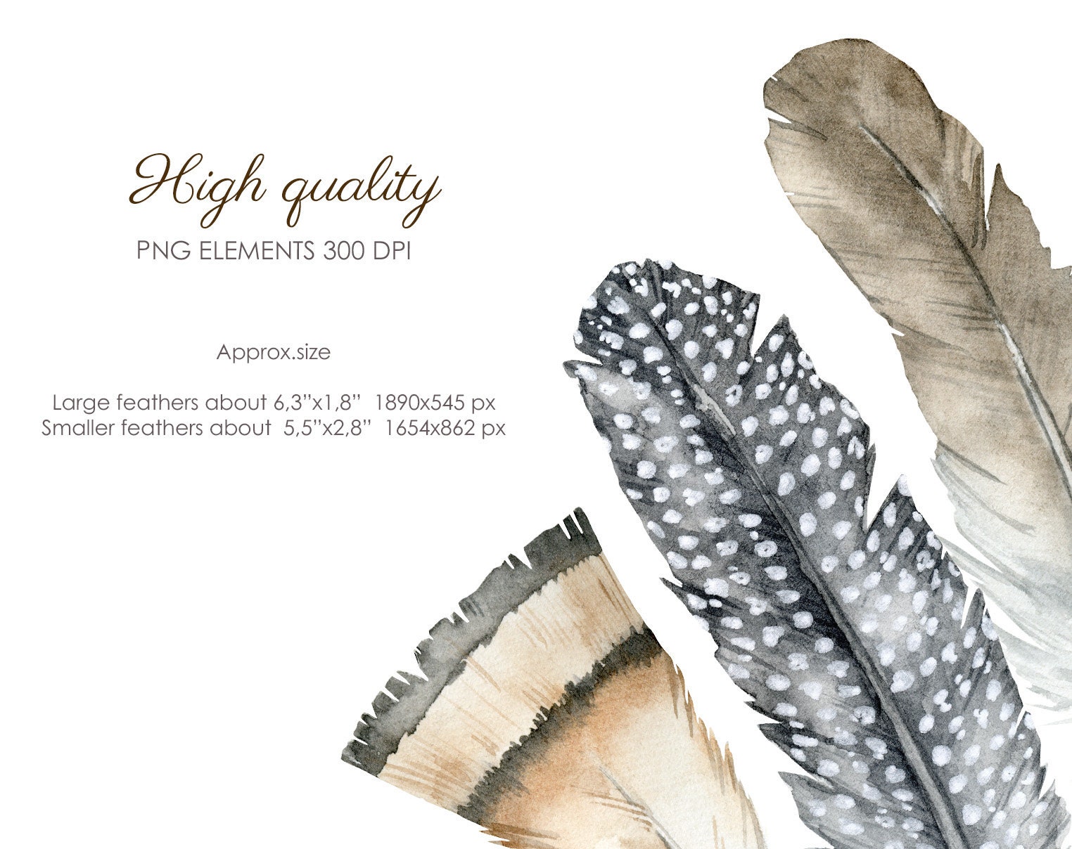 Watercolor Boho Feathers Clipart. Digital Feathers Clipart | Etsy