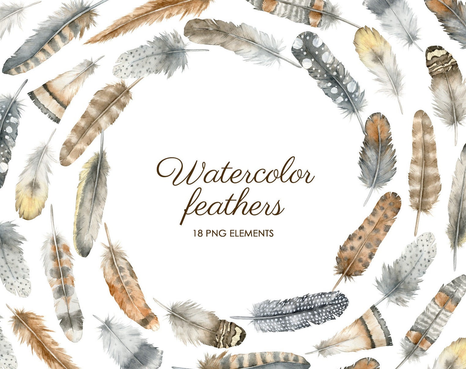 Watercolor Boho Feathers Clipart. Digital Feathers Clipart | Etsy