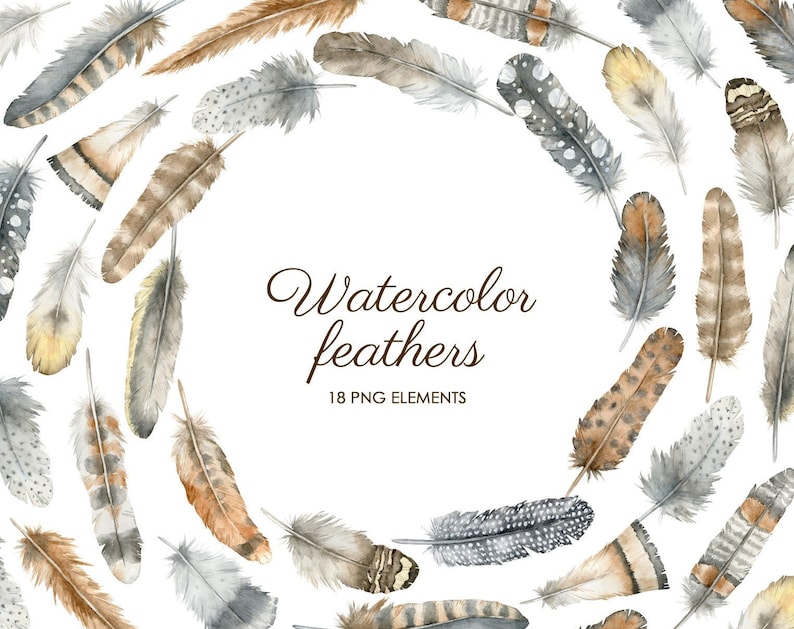 Watercolor Boho Feathers Clipart. Digital Feathers Clipart | Etsy