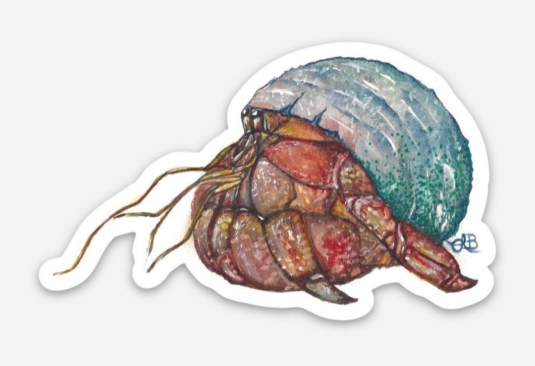 Hermit Crab Sticker - Etsy