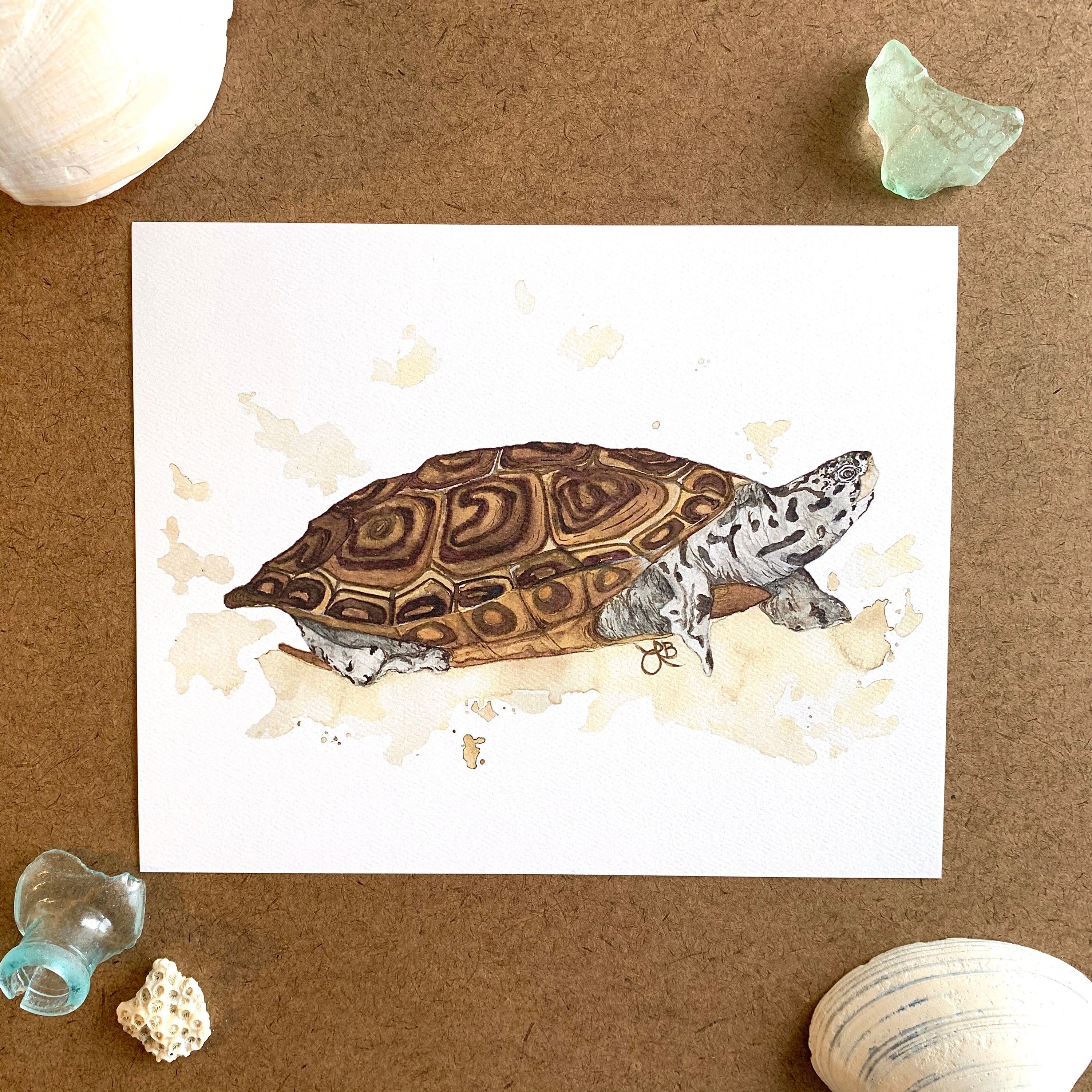 Turtle Art Print - Etsy
