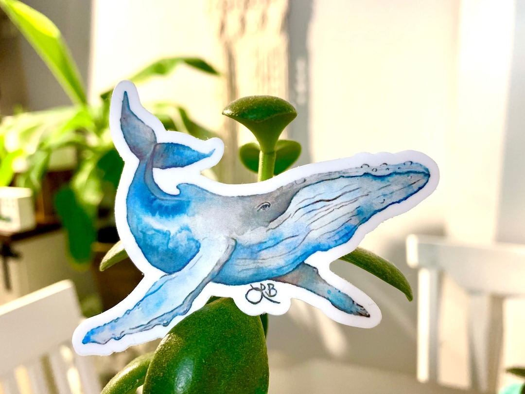 Humpback Whale Sticker, Watercolor Art, Weatherproof Vinyl - Etsy