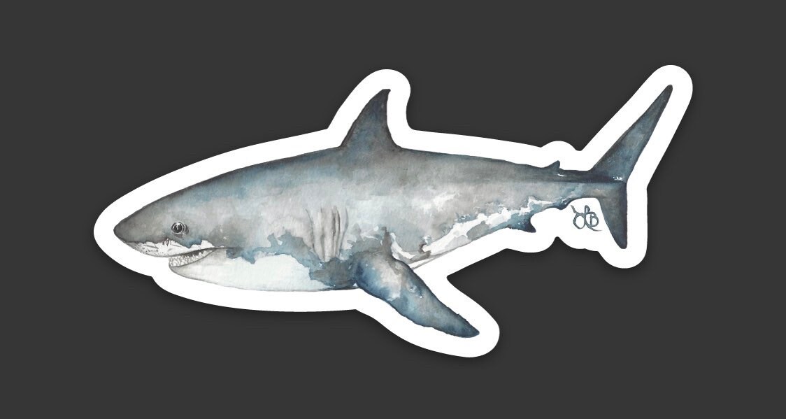 Great White Shark Sticker - Etsy