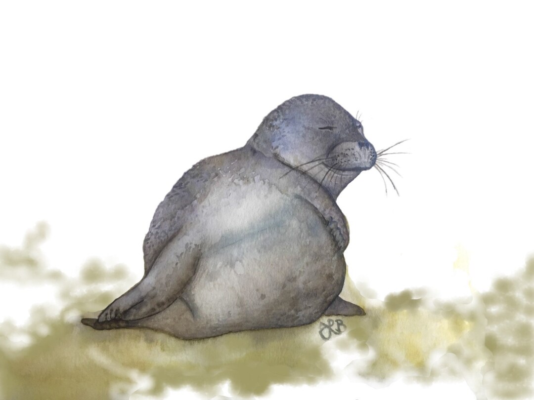 Seal Art Print - Etsy