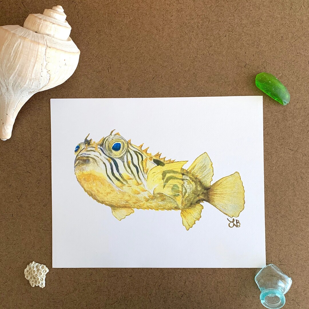 Pufferfish Art Print - Etsy
