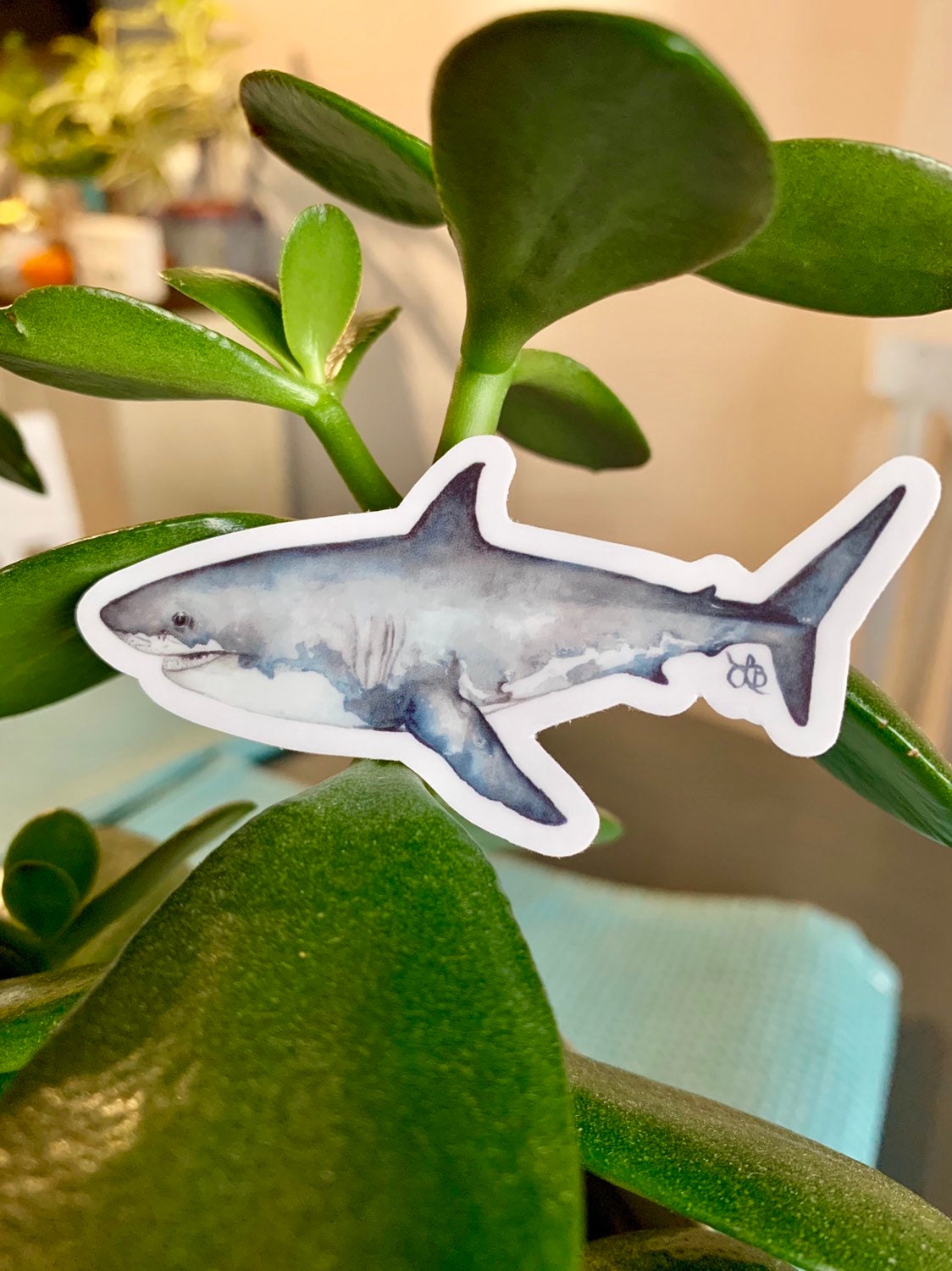 Great White Shark Sticker, Watercolor Art Decal - Etsy