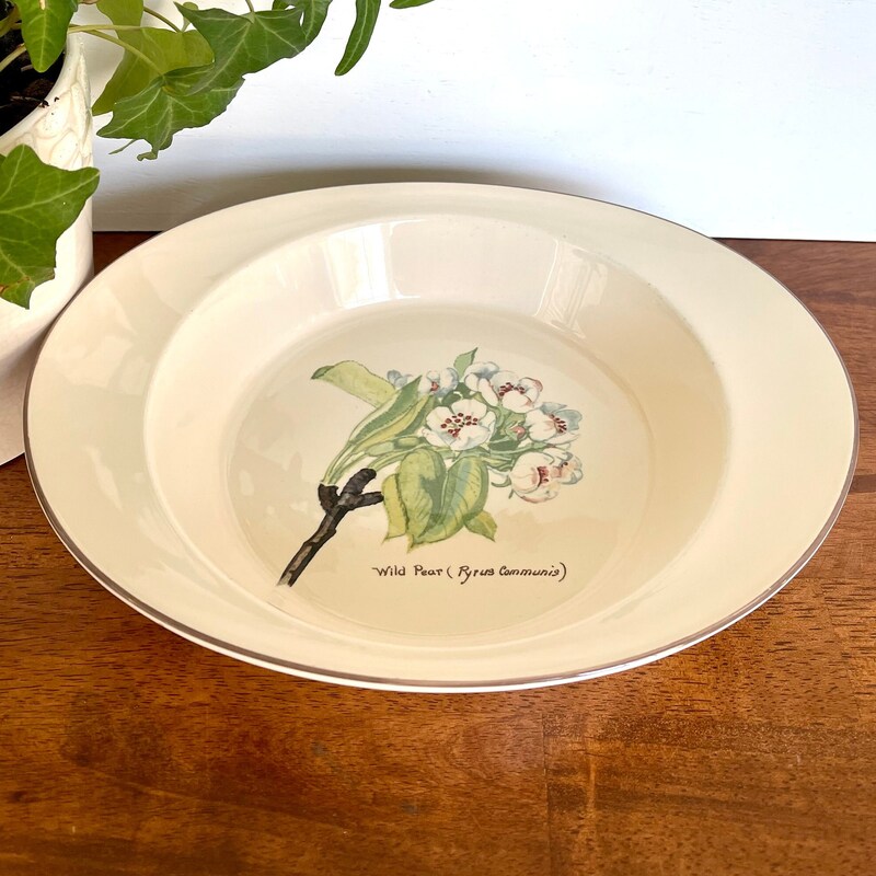 Country Dinnerware - Etsy