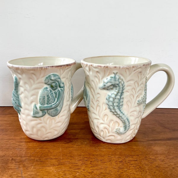 Seashell Collection - Etsy