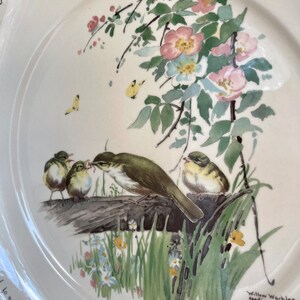 12” Chop Plate by Noritake "the Country Diary of an Edwardian Lady ...