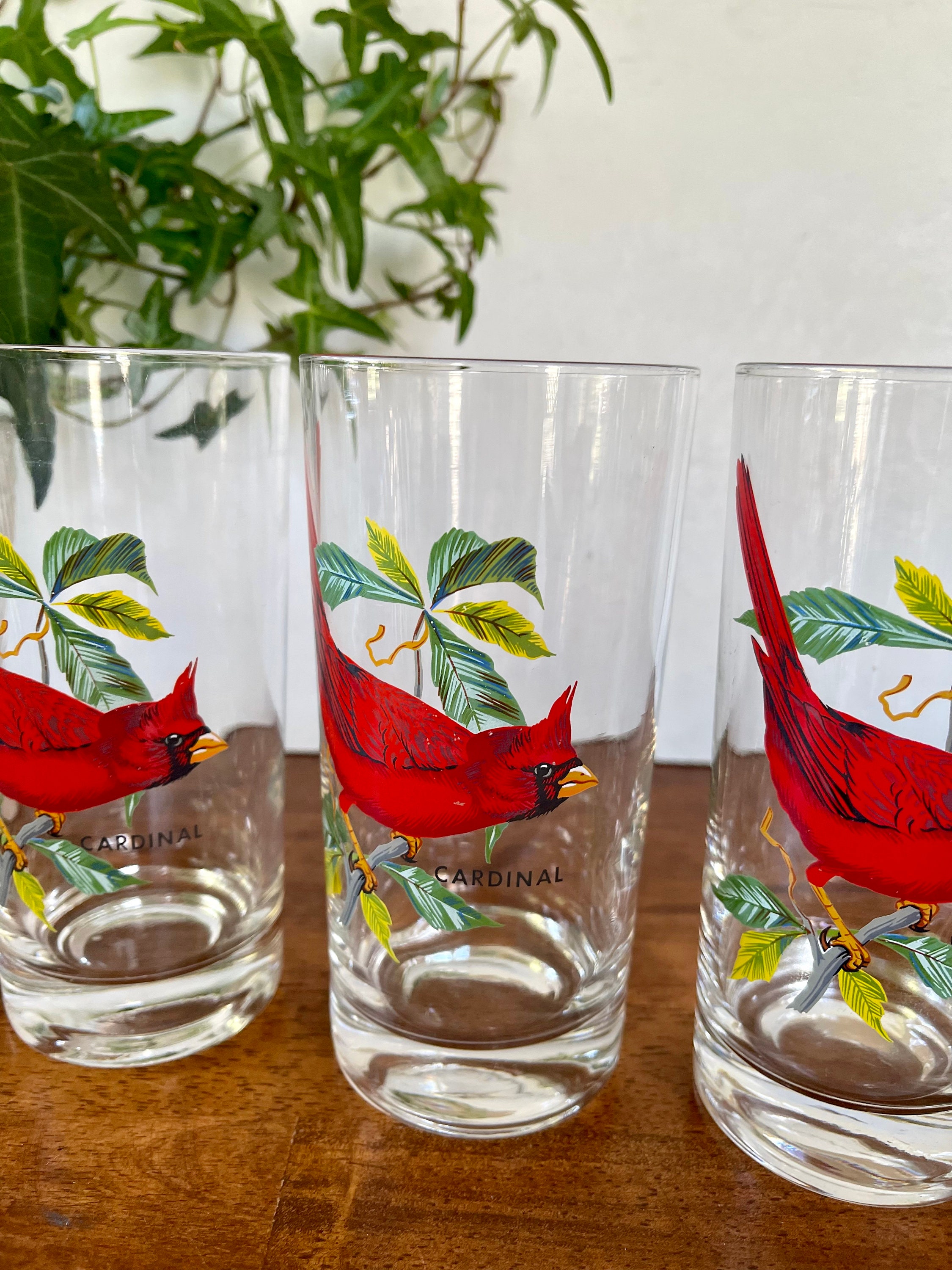 Cardinal Plastic Glasses